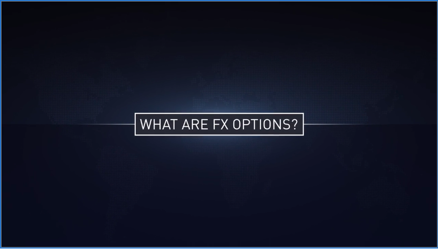What are FX Options on the IQ option Platform? - InvestChannels